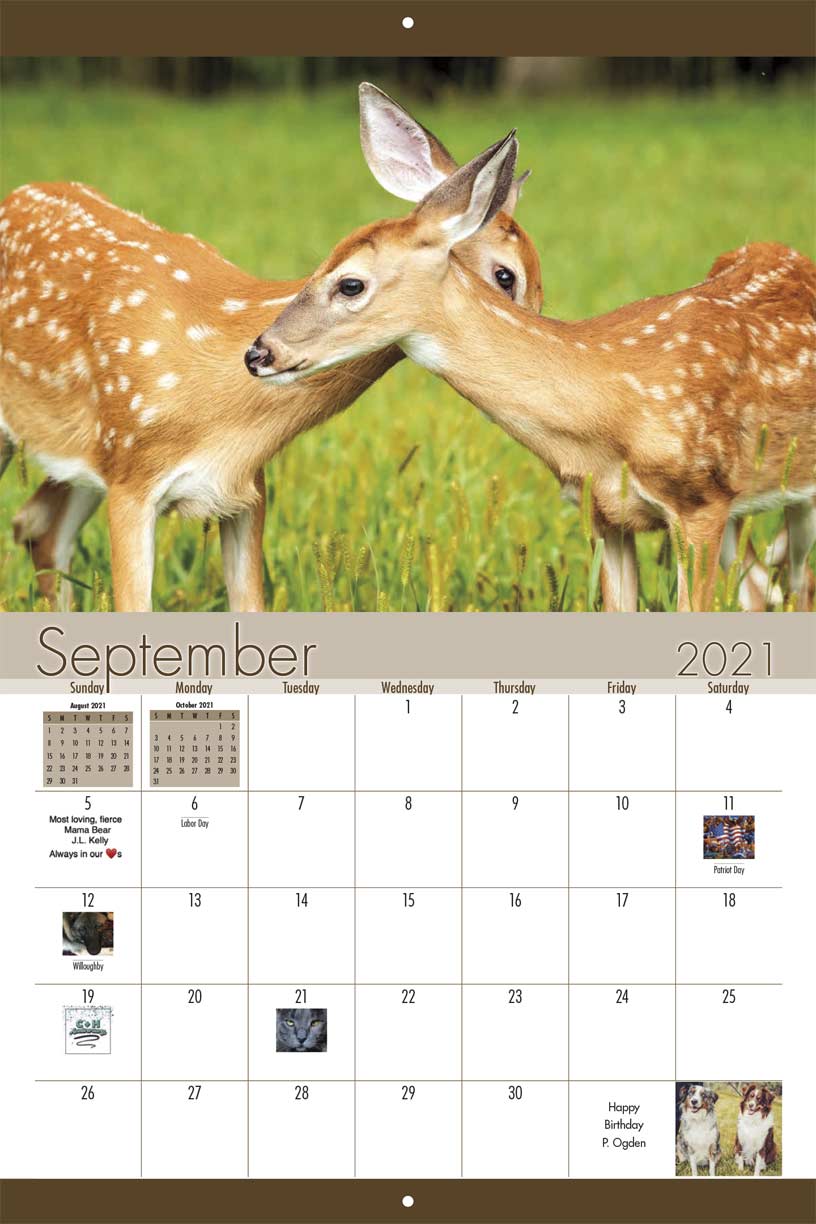 Orphaned Wildlife Center 2021 Calendar Fundraising
