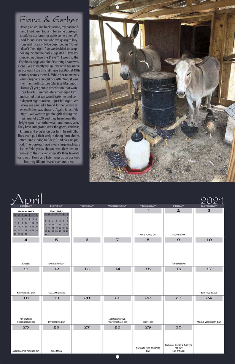 Save the Brays Donkey Rescue 2021 Calendar Fundraising