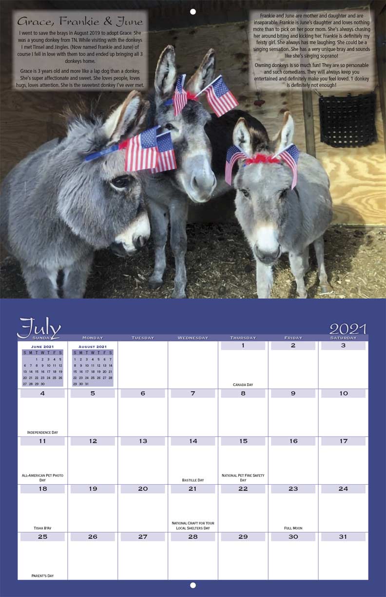 Save the Brays Donkey Rescue 2021 Calendar Fundraising