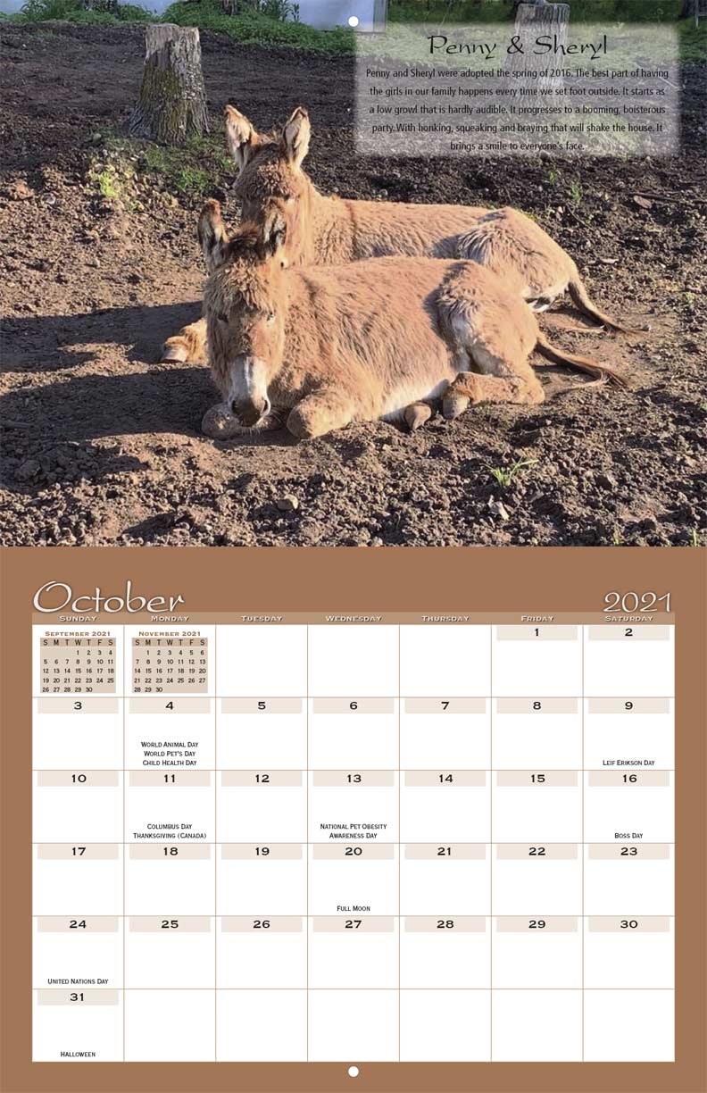 Save the Brays Donkey Rescue 2021 Calendar Fundraising