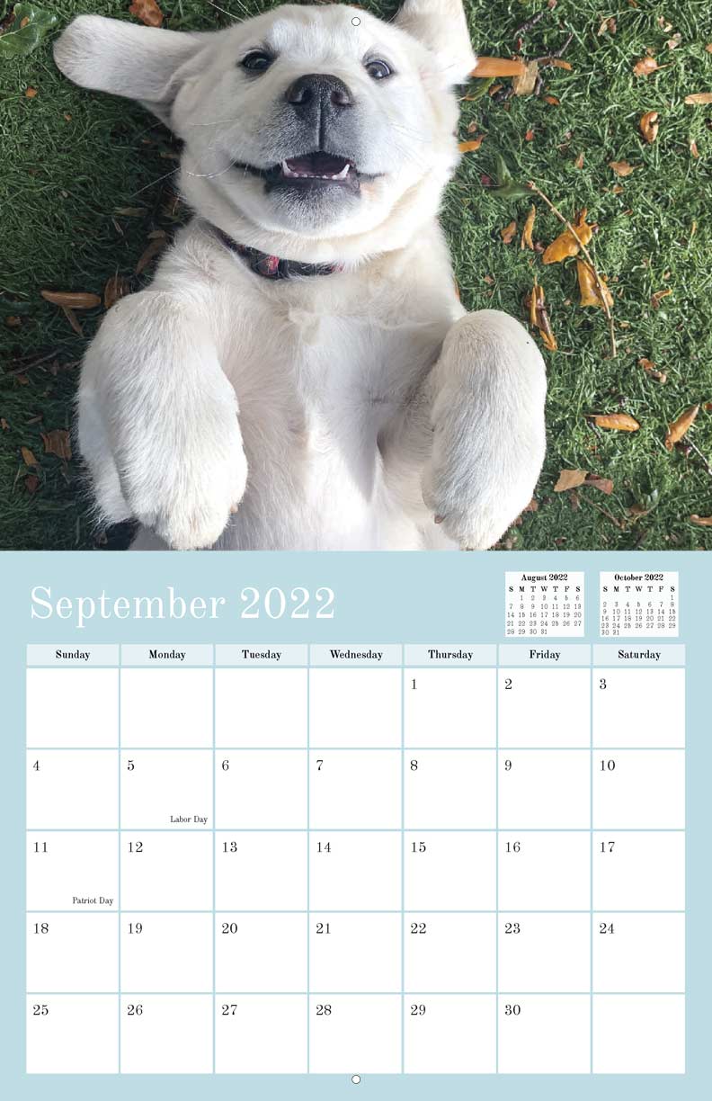 Little Angels Service Dogs 2022 Calendar Fundraising