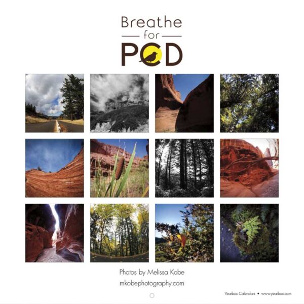 Breathe for PCD 2022 Calendar - Yearbox Calendars