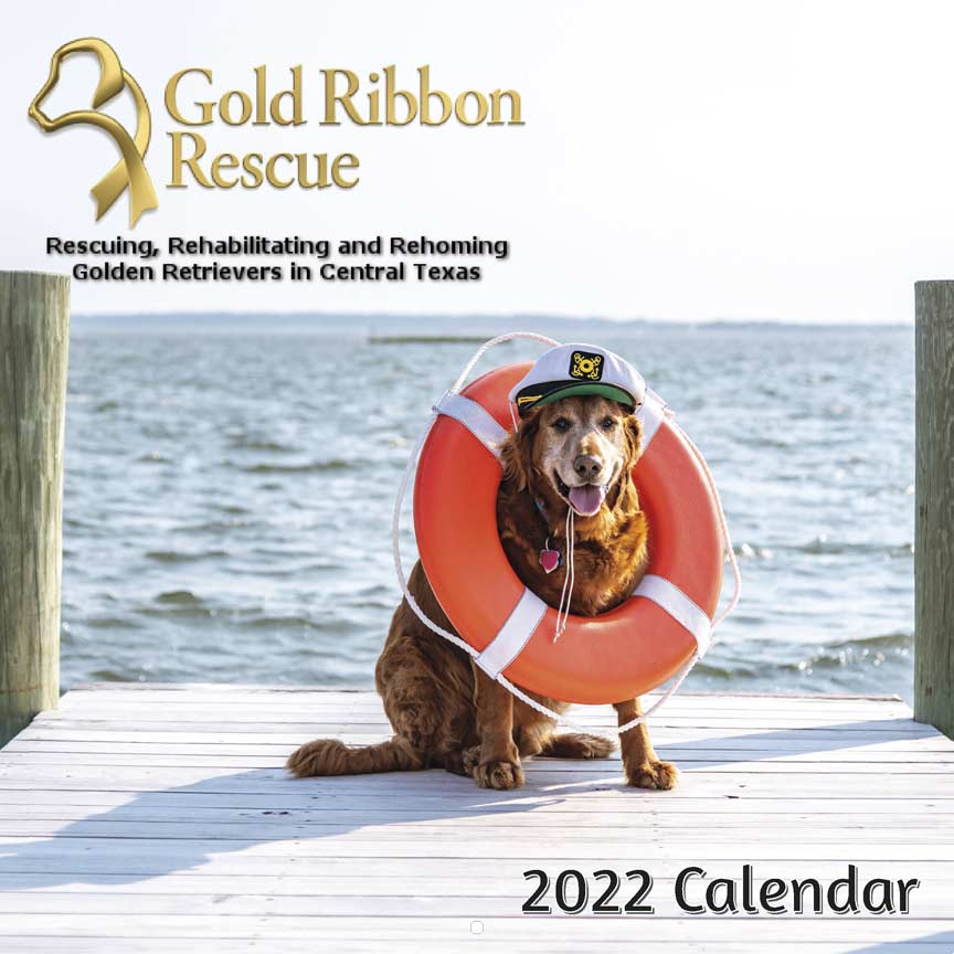 Gold Ribbon Rescue 2022 Calendar Fundraising