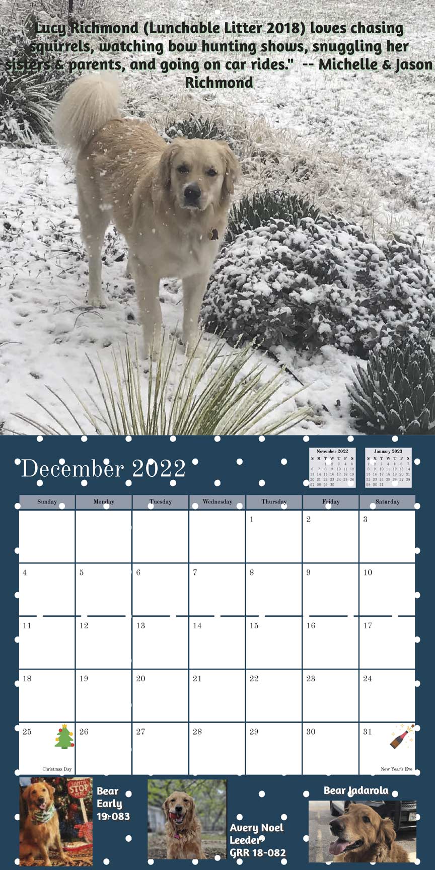 Gold Ribbon Rescue 2022 Calendar Fundraising