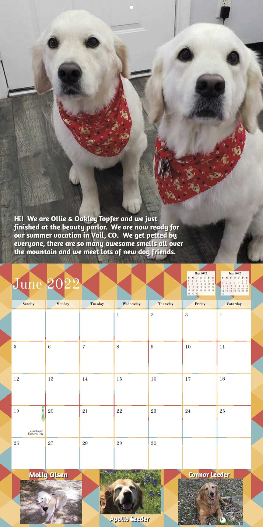 Gold Ribbon Rescue 2022 Calendar Fundraising
