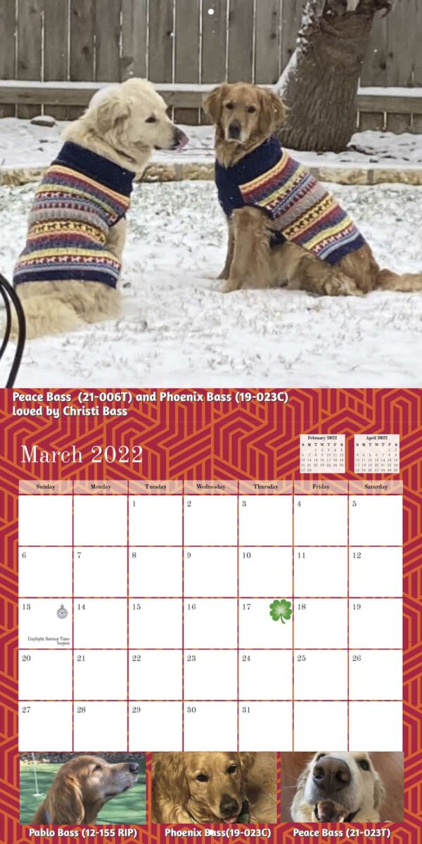 Gold Ribbon Rescue 2022 Calendar Fundraising