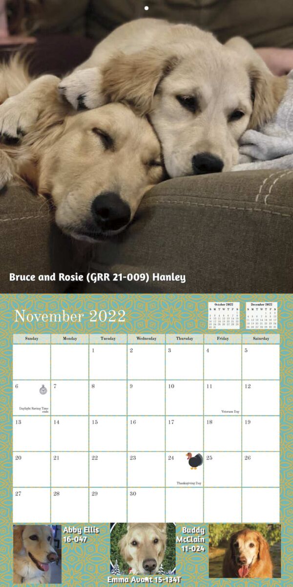 Gold Ribbon Rescue 2022 Calendar Fundraising