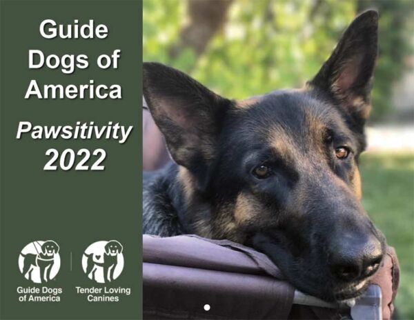 Guide Dogs of America Pawsitivity 2022 Calendar