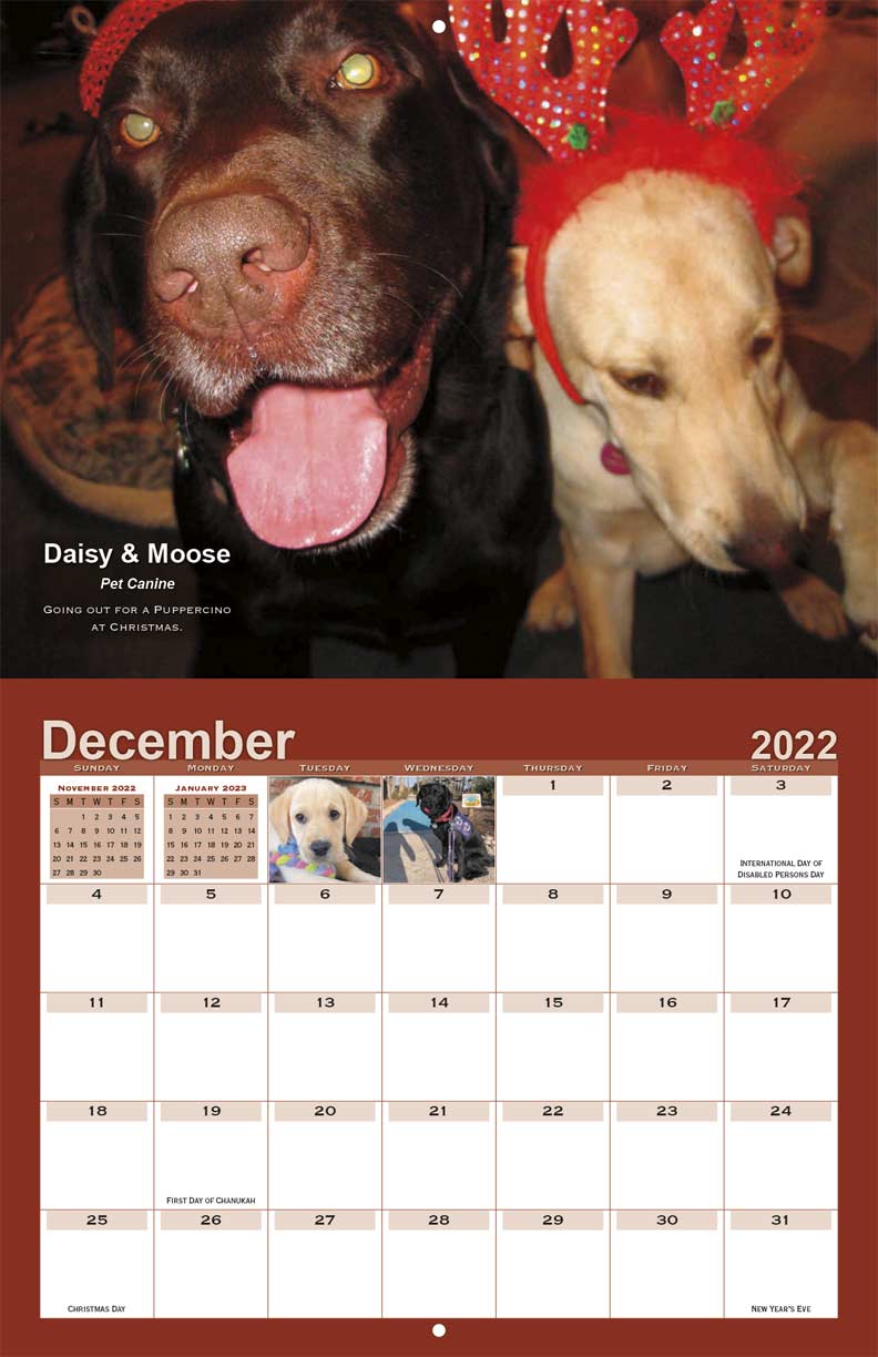 Guide Dogs of America Pawsitivity 2022 Calendar