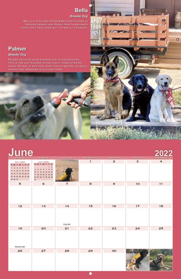 Guide Dogs of America Pawsitivity 2022 Calendar