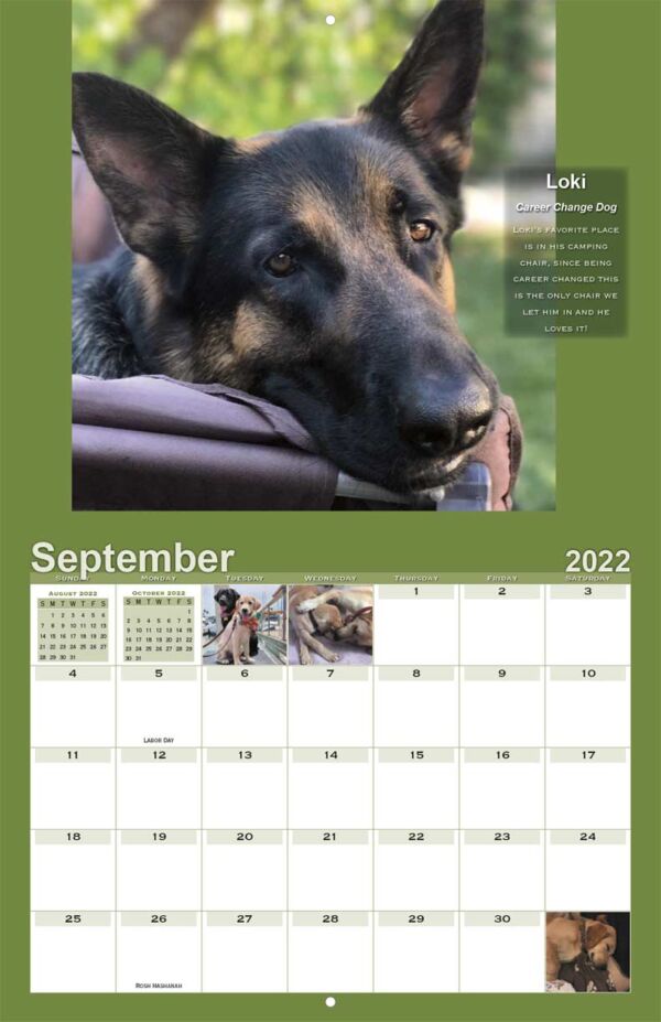 Guide Dogs of America Pawsitivity 2022 Calendar