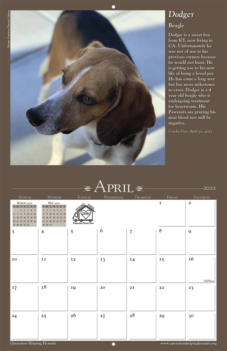Operation Helping Hounds 2022 Calendar Fundraising