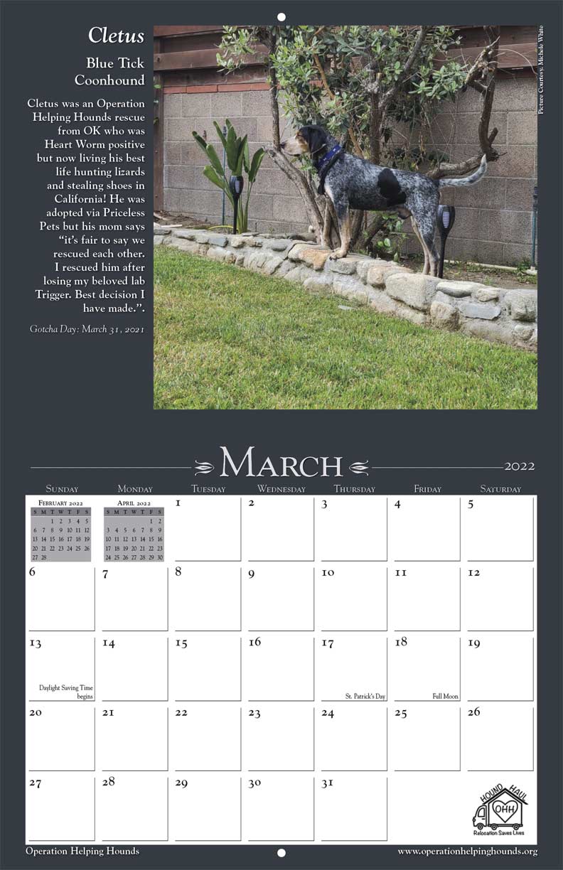 Operation Helping Hounds 2022 Calendar Fundraising