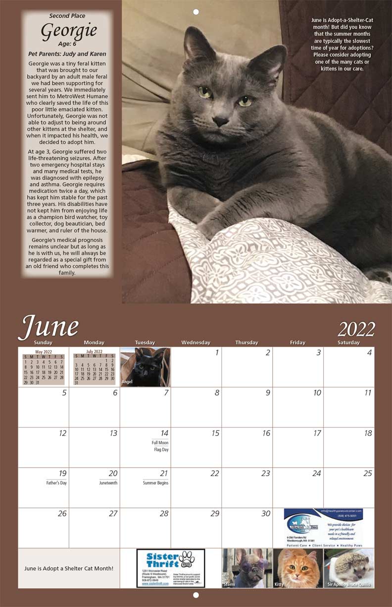 MetroWest Humane Society 2022 Calendar Fundraising