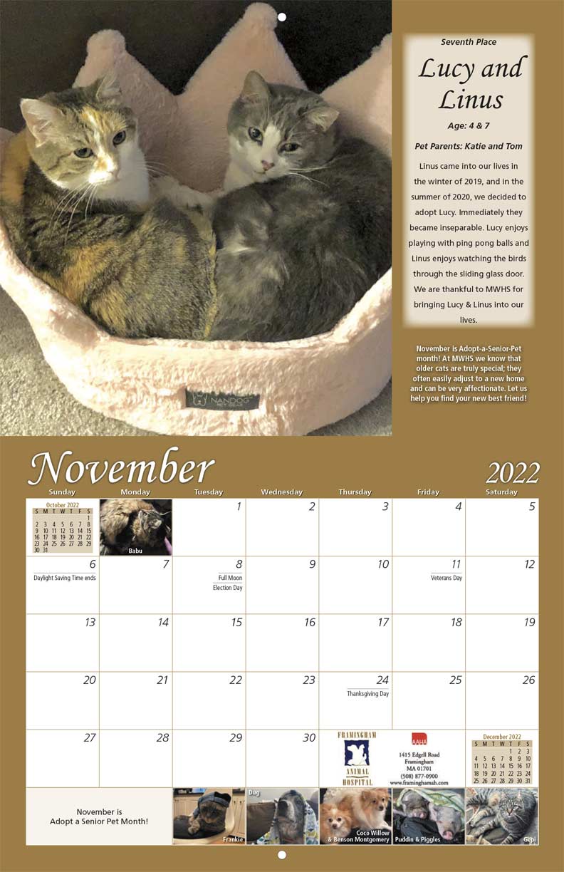 MetroWest Humane Society 2022 Calendar Fundraising