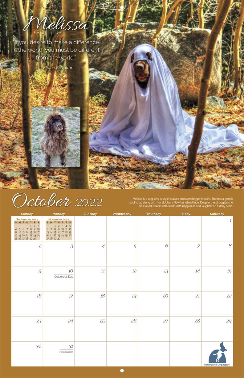 National Mill Dog Rescue 2022 Calendar Fundraising