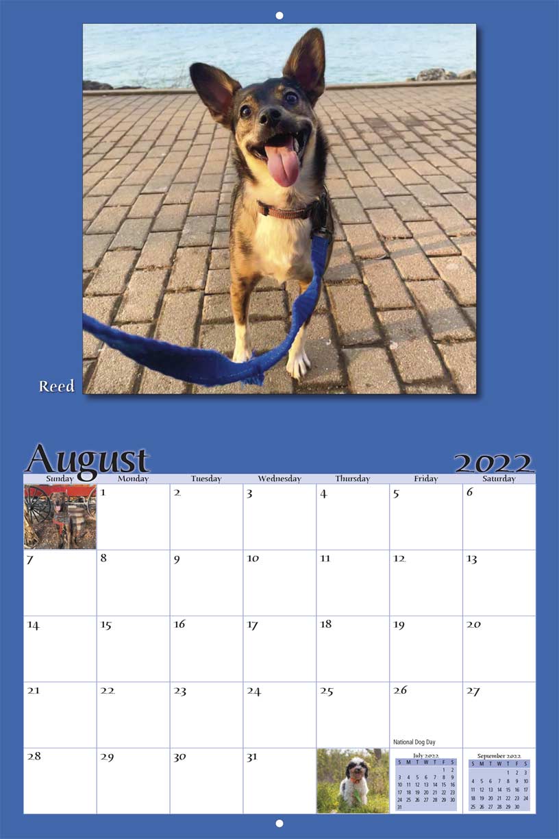 Paws and Prayers Pet Rescue 2022 Calendar Fundraising