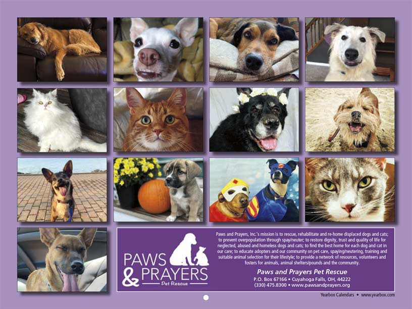 Paws and Prayers Pet Rescue 2022 Calendar Fundraising