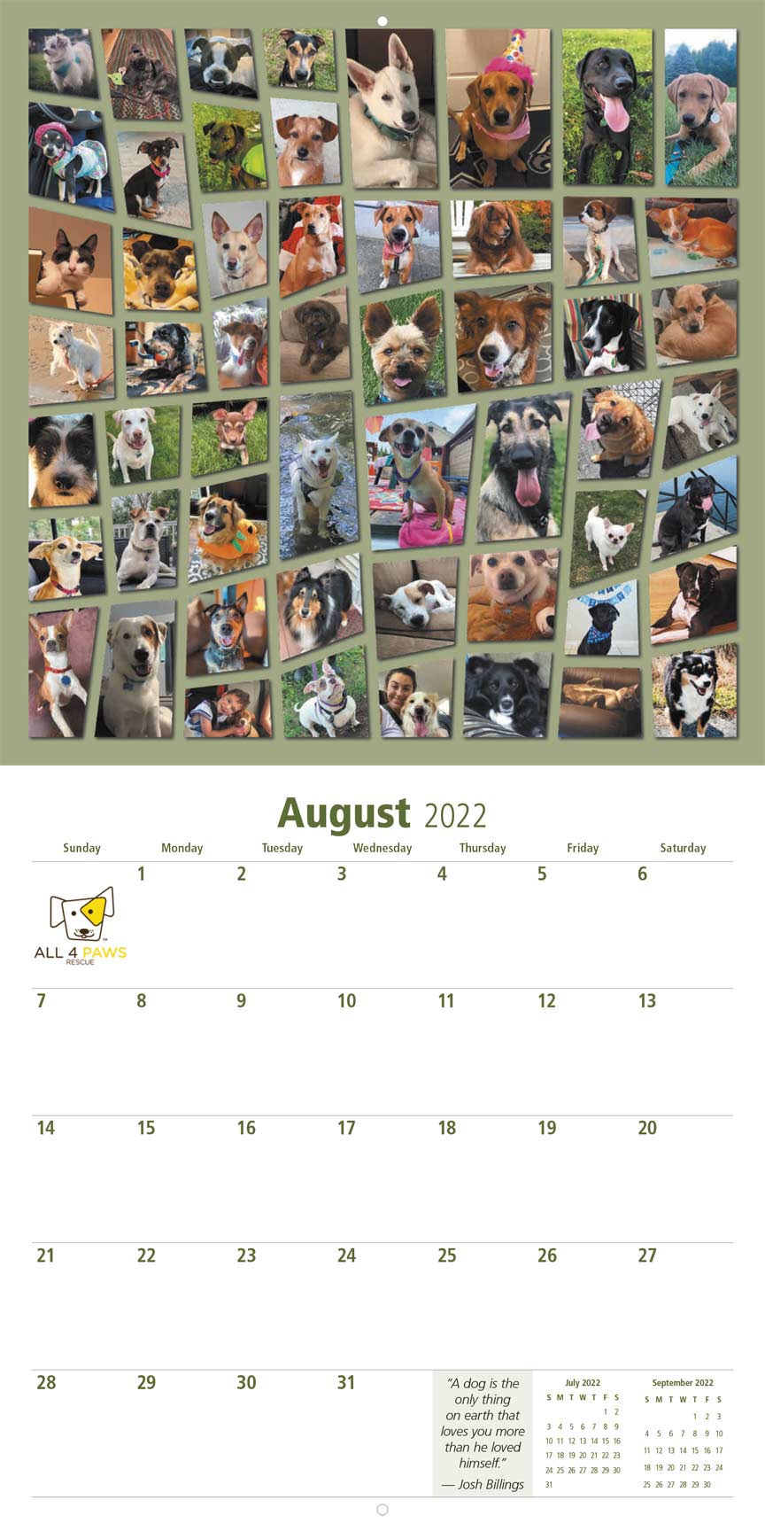 All 4 Paws Rescue 2022 Calendar Fundraising