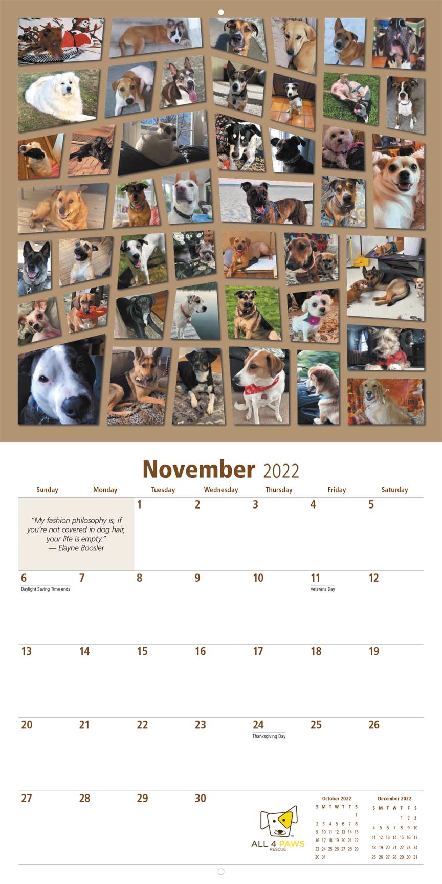 All 4 Paws Rescue 2022 Calendar Fundraising