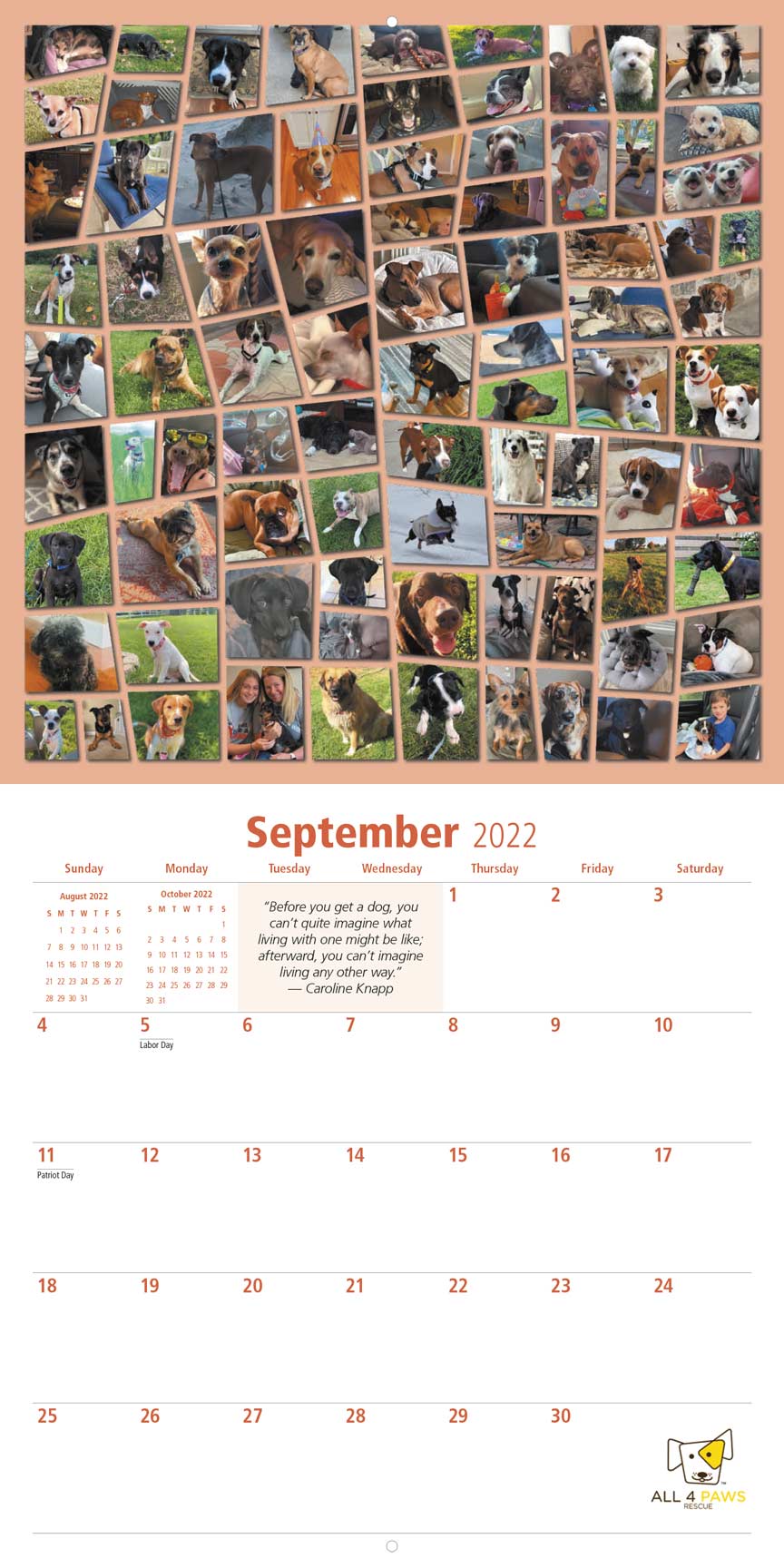 All 4 Paws Rescue 2022 Calendar Fundraising