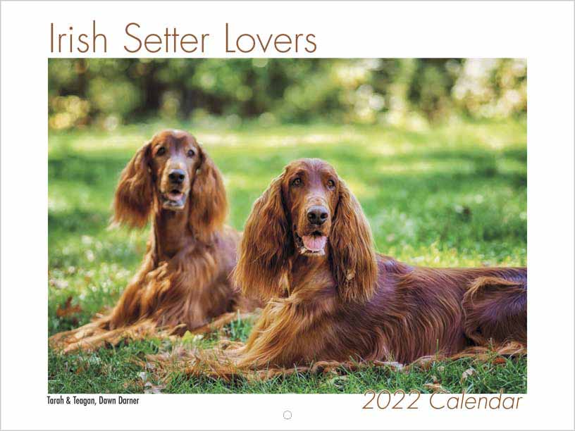 Irish Setter Lovers 2022 Calendar Fundraising