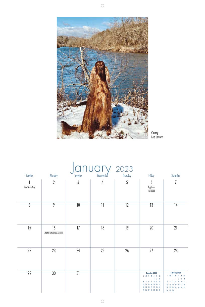Irish Setter Lovers 2022 Calendar Fundraising