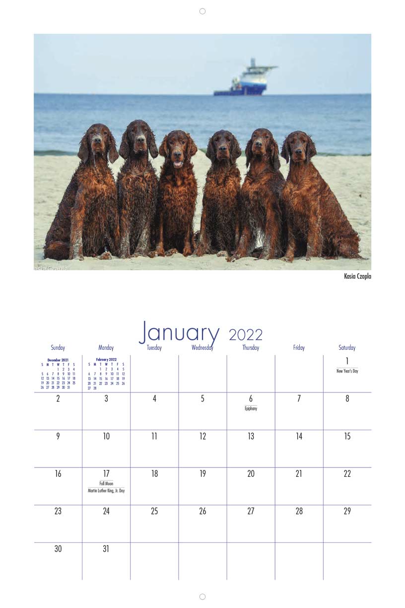 Irish Setter Lovers 2022 Calendar Fundraising