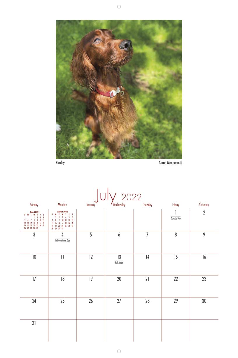 Irish Setter Lovers 2022 Calendar Fundraising
