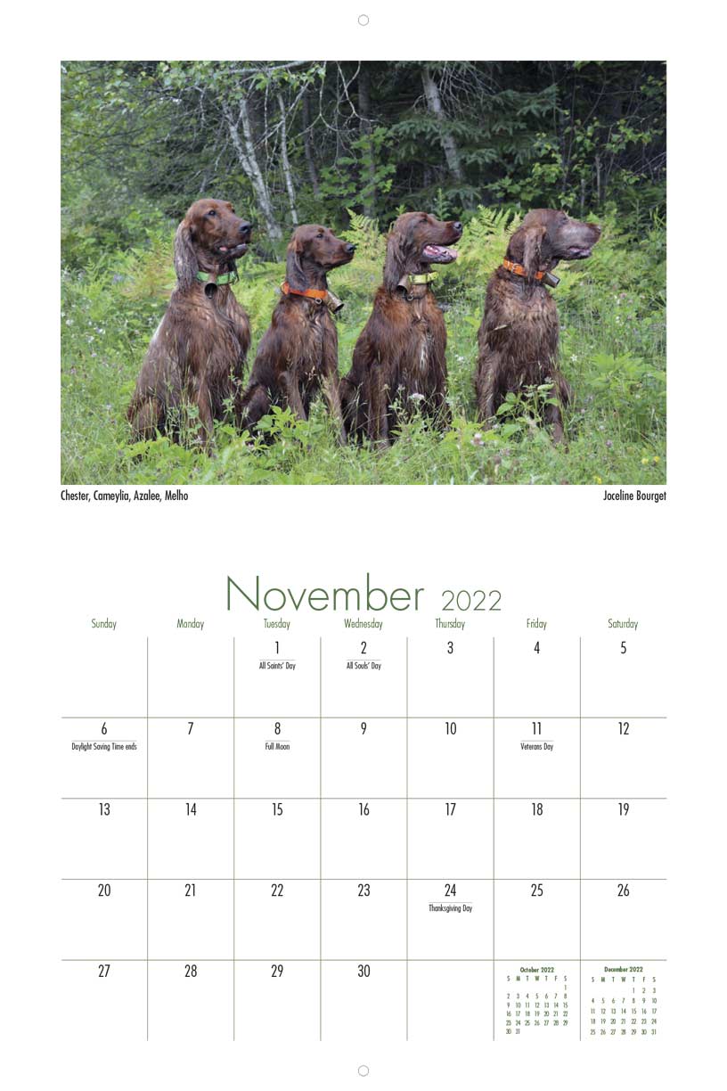 Irish Setter Lovers 2022 Calendar Fundraising