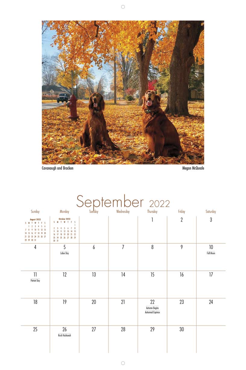 Irish Setter Lovers 2022 Calendar Fundraising