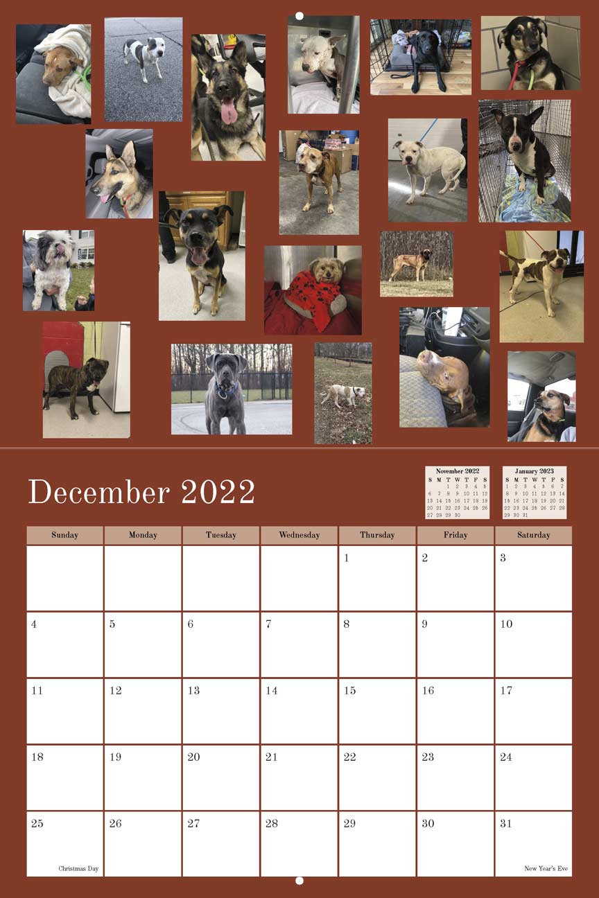 Peaceful Souls Animal Rescue 2022 Calendar Fundraising