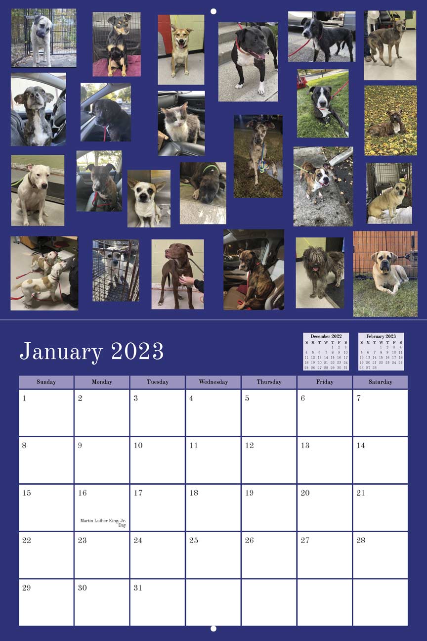 Peaceful Souls Animal Rescue 2022 Calendar Fundraising