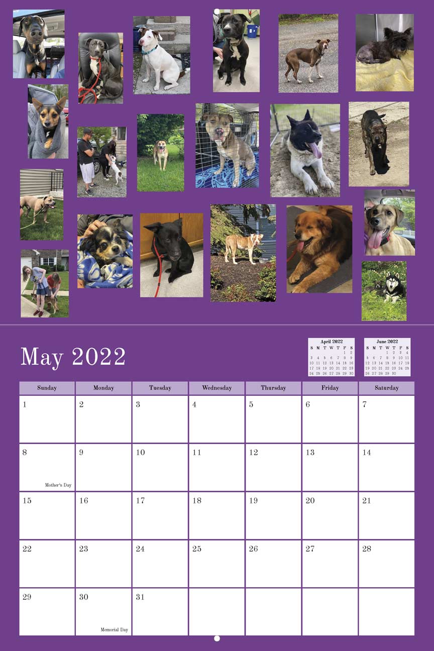 Peaceful Souls Animal Rescue 2022 Calendar Fundraising