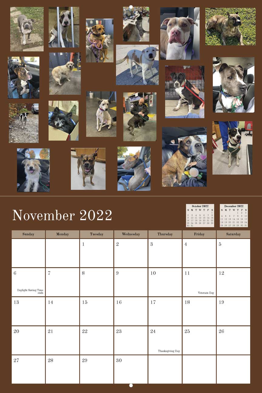 Peaceful Souls Animal Rescue 2022 Calendar Fundraising