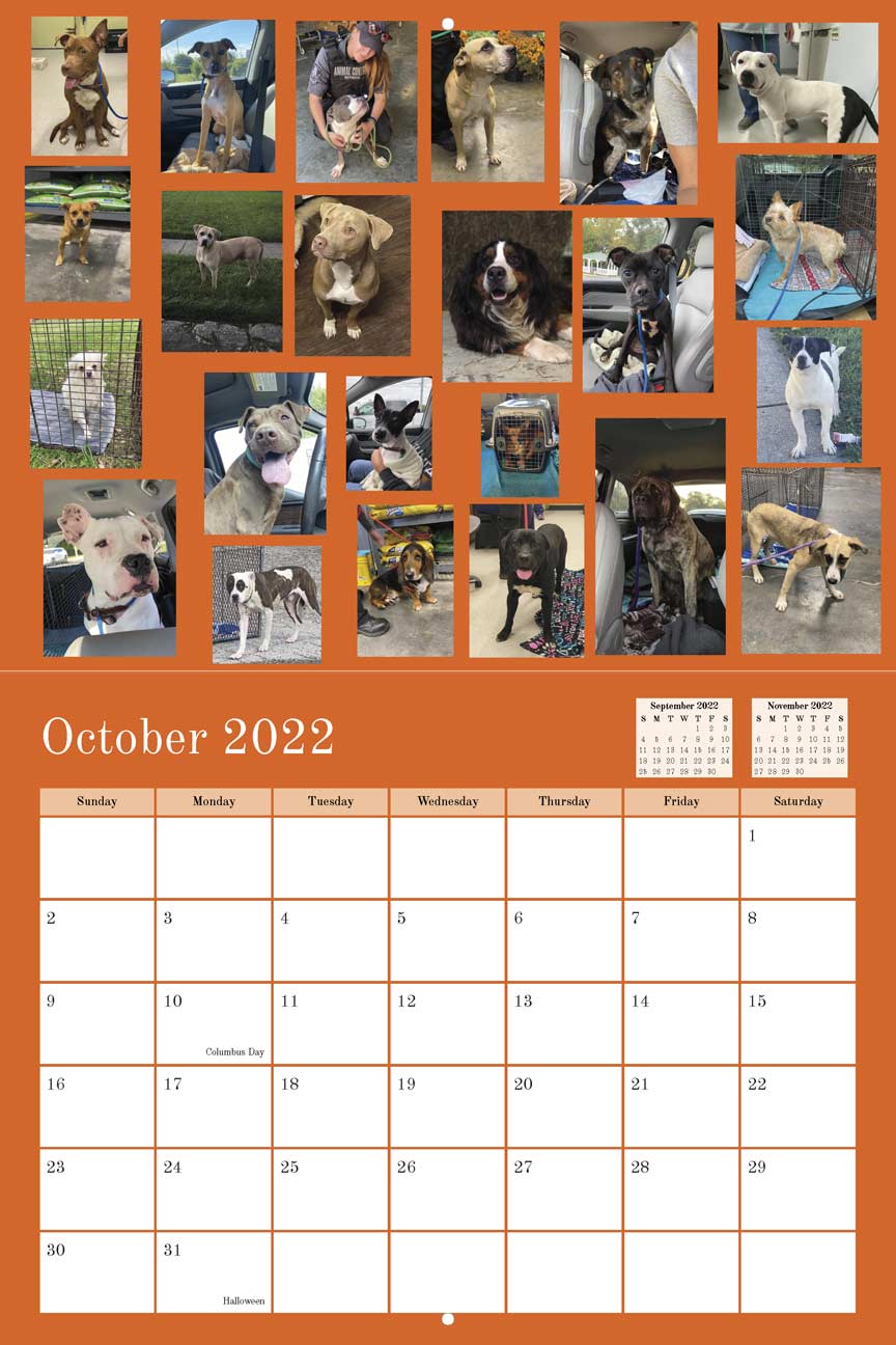 Peaceful Souls Animal Rescue 2022 Calendar Fundraising