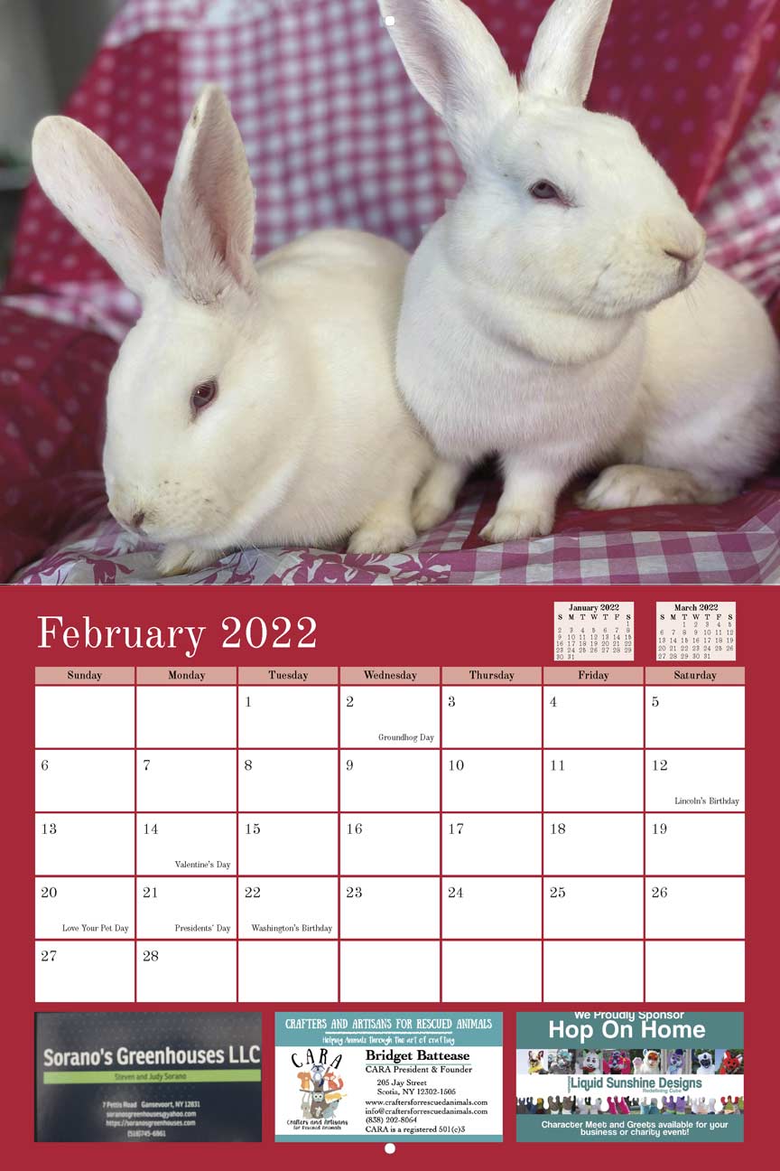 Rabbit Rescue 2022 Calendar Fundraising