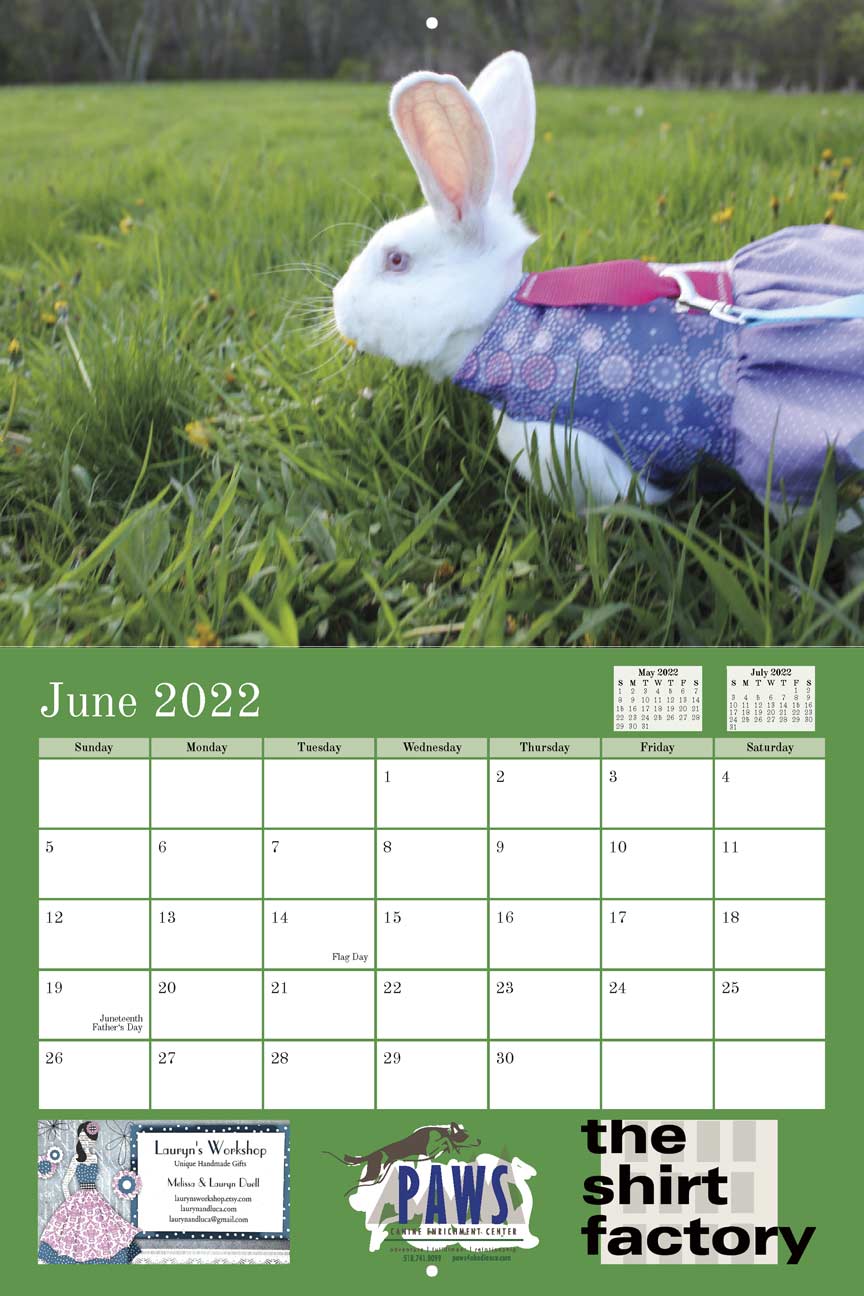 Rabbit Rescue 2022 Calendar Fundraising