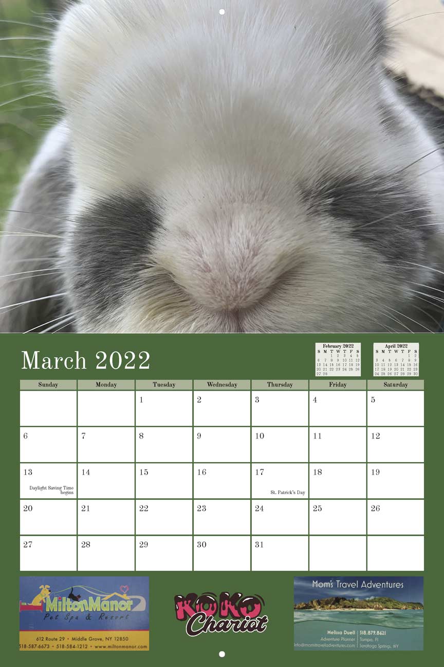 Rabbit Rescue 2022 Calendar Fundraising