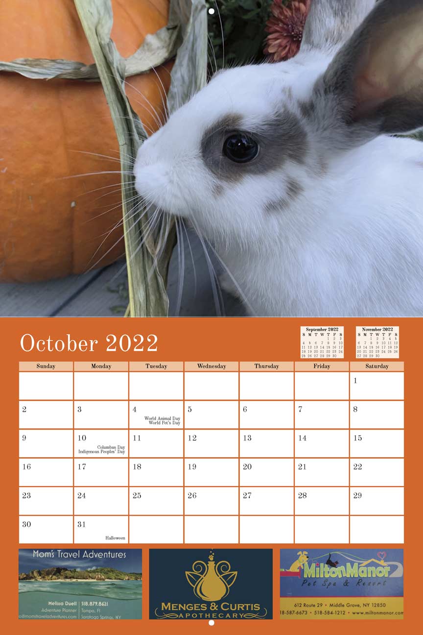 Rabbit Rescue 2022 Calendar Fundraising