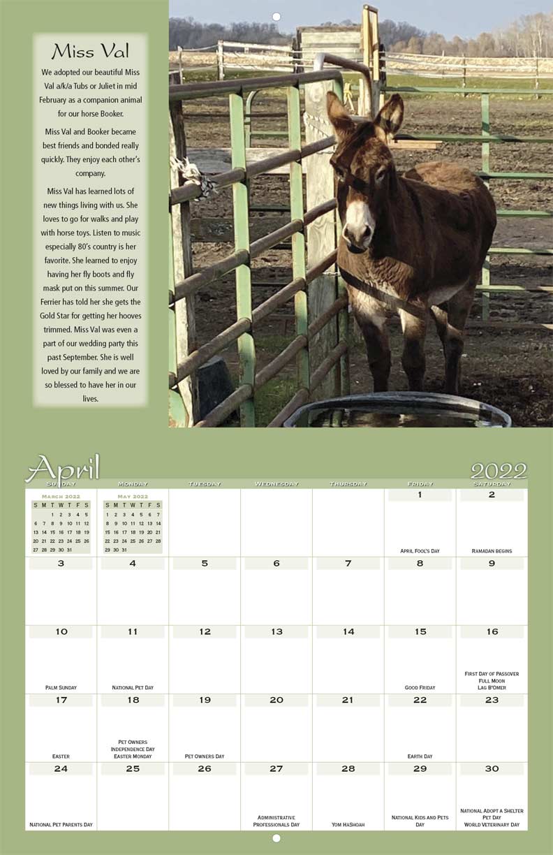 Save the Brays Donkey Rescue 2022 Calendar Fundraising