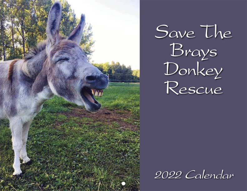 Save the Brays Donkey Rescue 2022 Calendar Fundraising