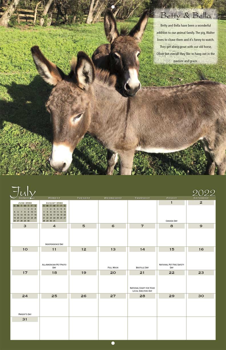 Save the Brays Donkey Rescue 2022 Calendar Fundraising