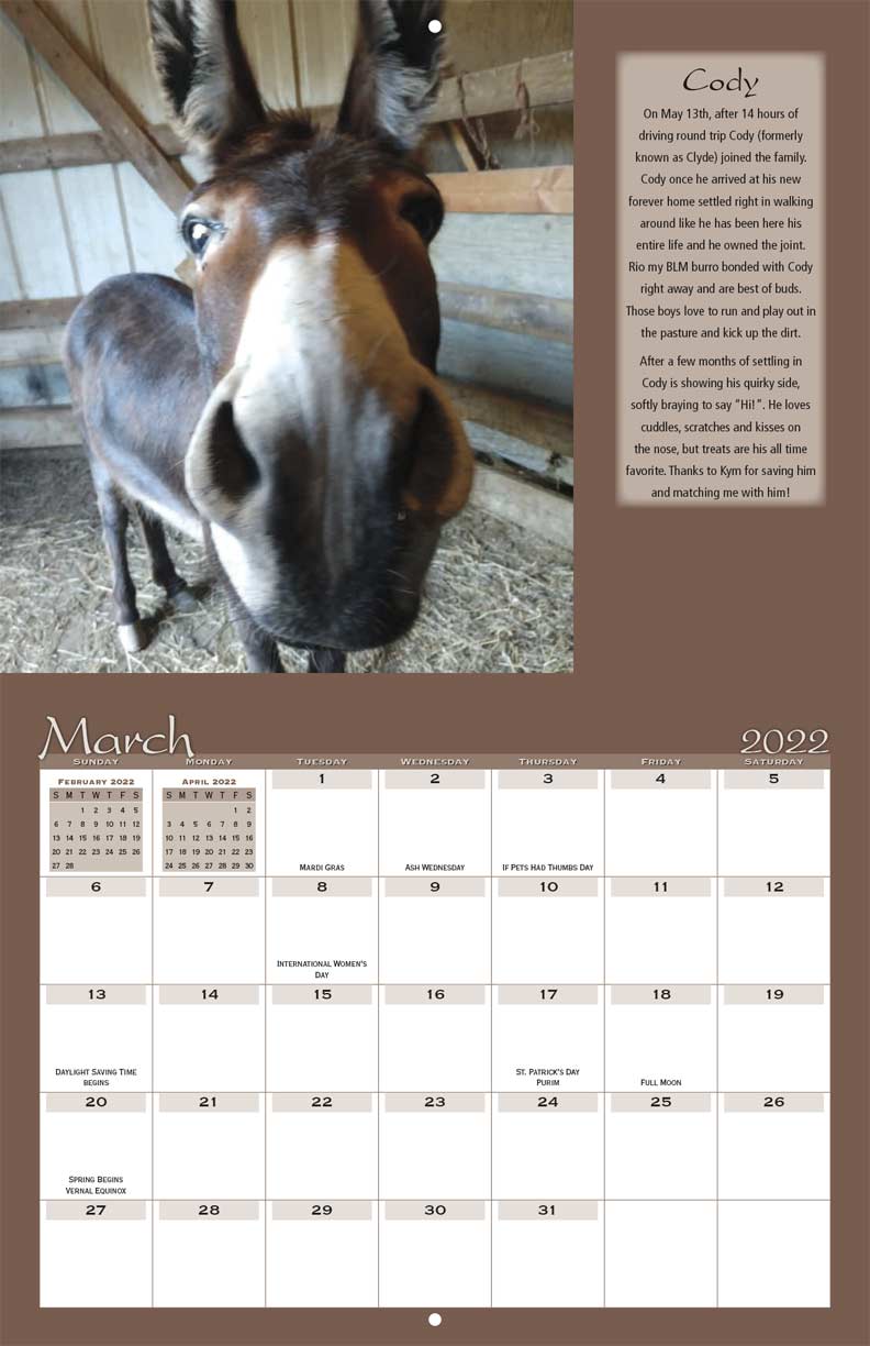 Save the Brays Donkey Rescue 2022 Calendar Fundraising