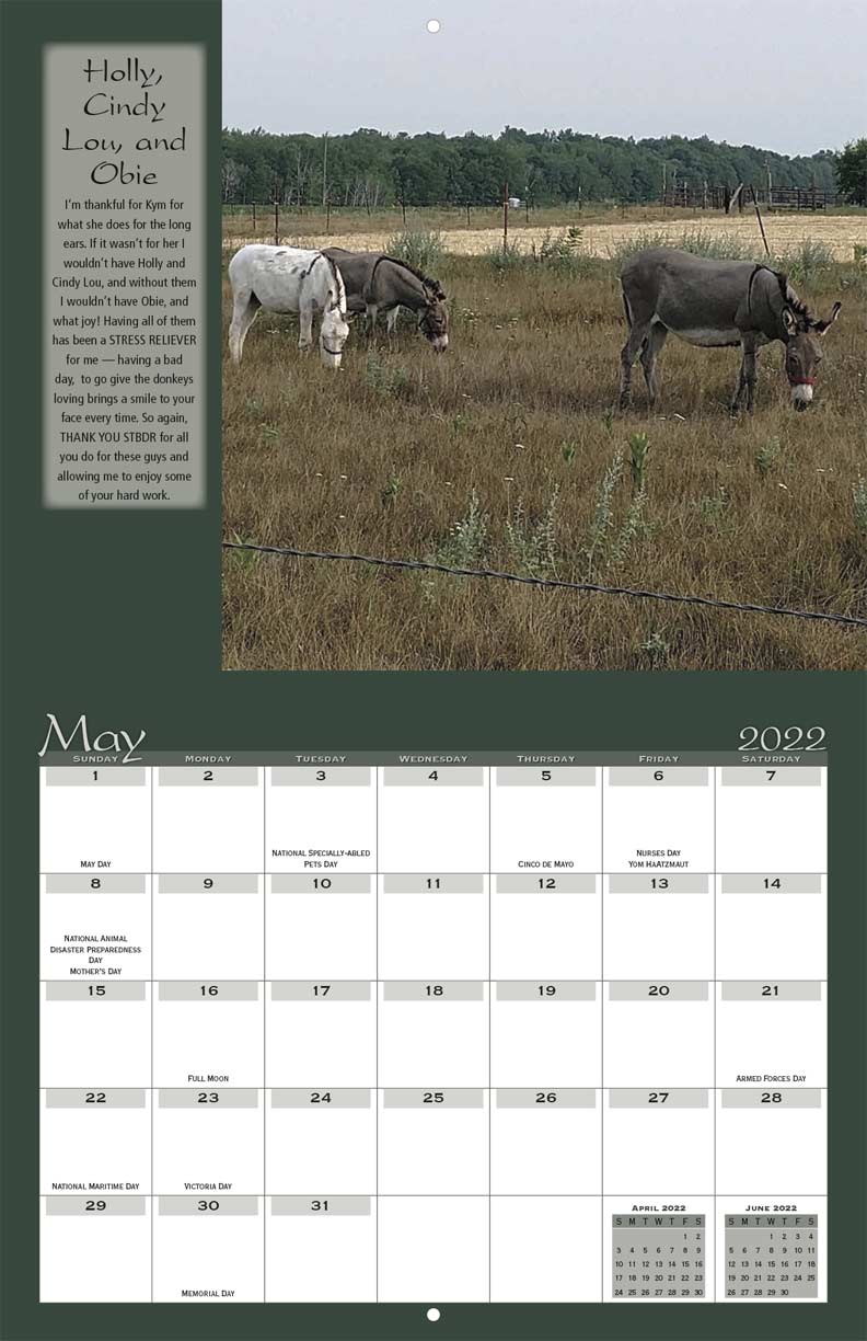 Save the Brays Donkey Rescue 2022 Calendar Fundraising