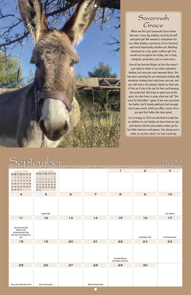 Save the Brays Donkey Rescue 2022 Calendar Fundraising