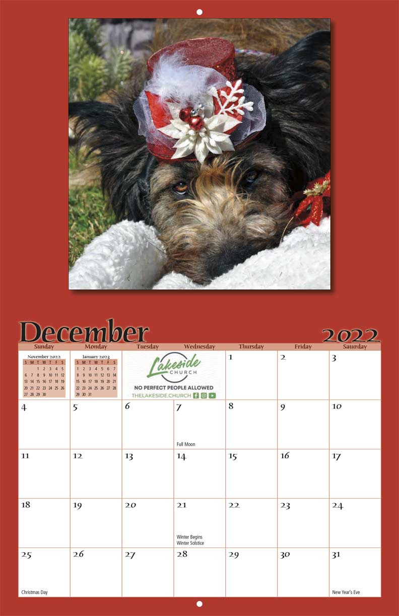 Malinois Ranch Rescue 2022 Calendar Fundraising