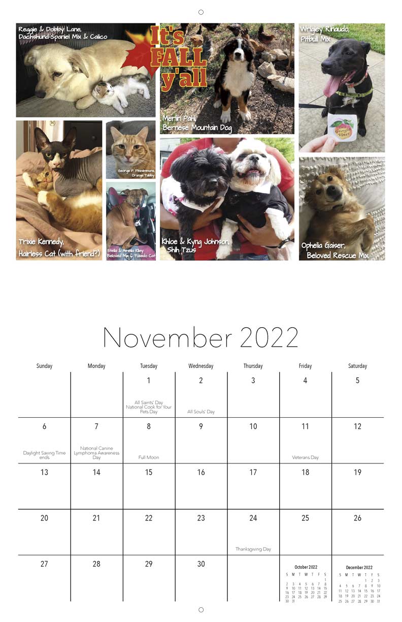 Sister Pet Sigma Alpha Omega 2022-2023 Calendar