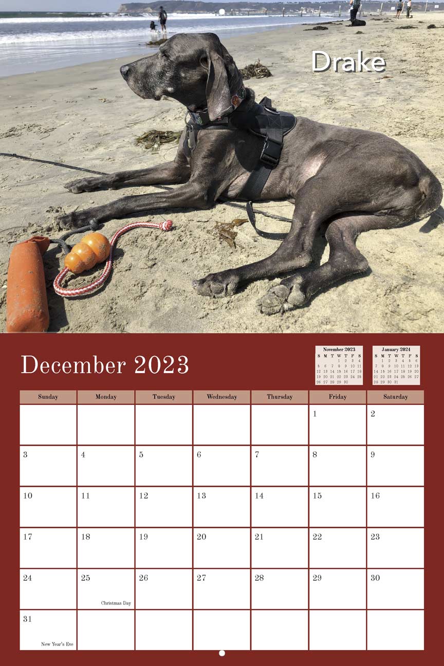 Mile High Weimaraner Rescue 2023 Calendar Fundraising