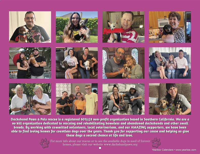 Dachshund Paws and Pals Rescue 2023 Calendar Fundraising